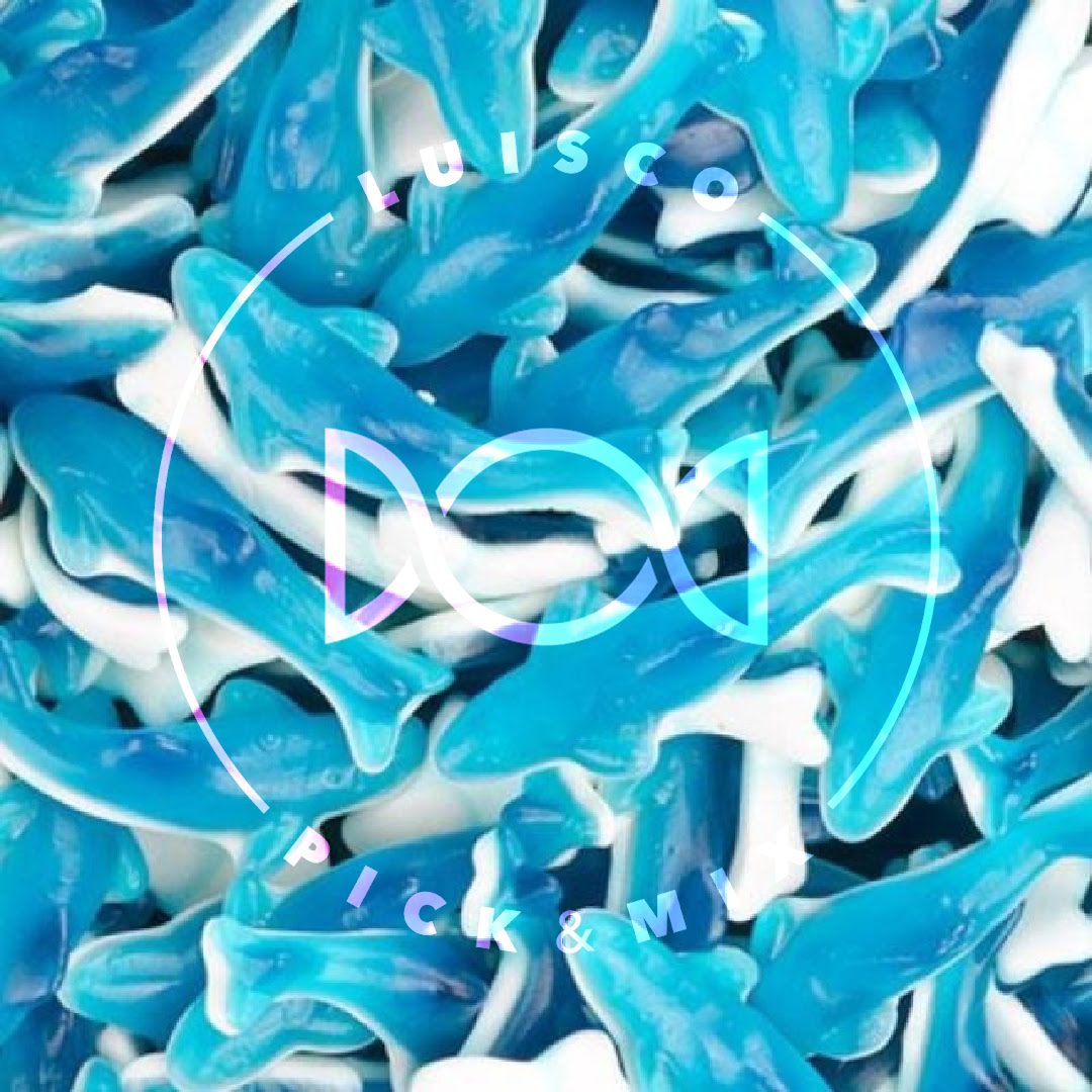 Large Dolphins | Luisco Chocolate